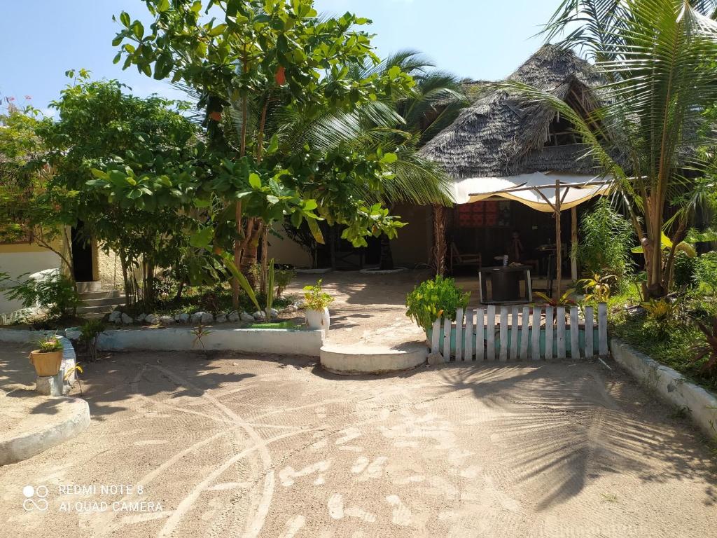 Uhuru art house, Paje (updated prices 2025)