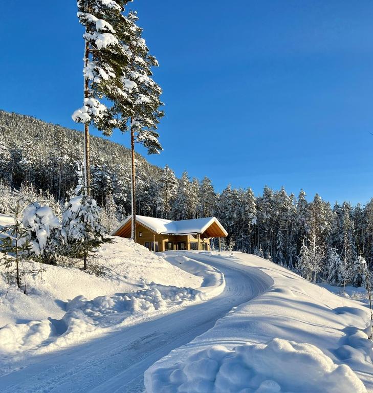 Furuheim Lodge, 4 seizoenen vakantiehuis met fantastisch uitzicht ...