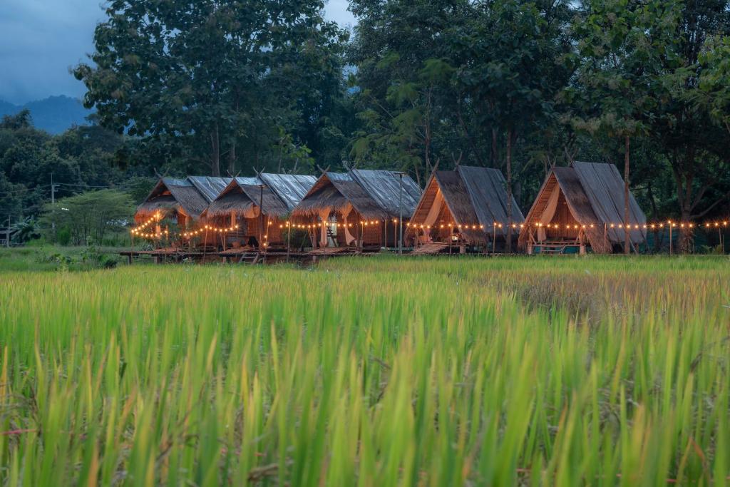 Paddy Fields Haven - Natures Nest, Pai (updated prices 2025)