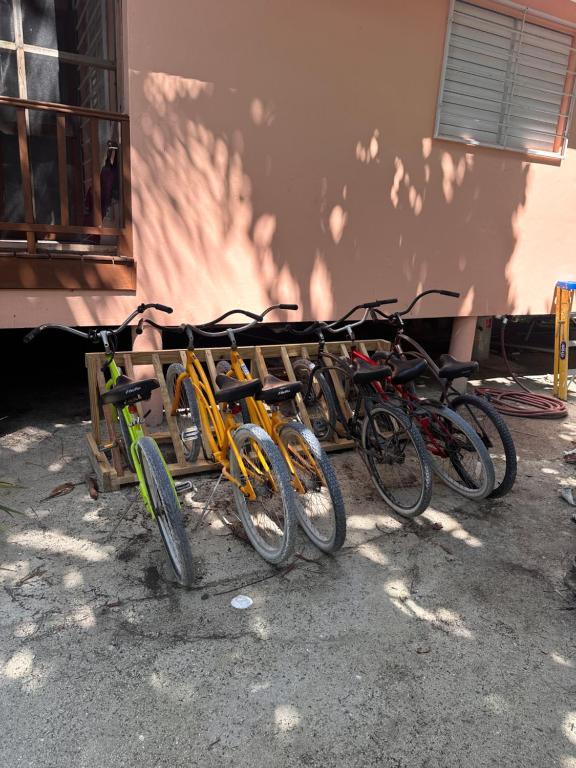The Coral Casa, Caye Caulker (updated prices 2025)