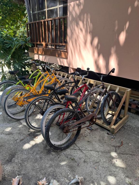 The Coral Casa, Caye Caulker (updated prices 2025)