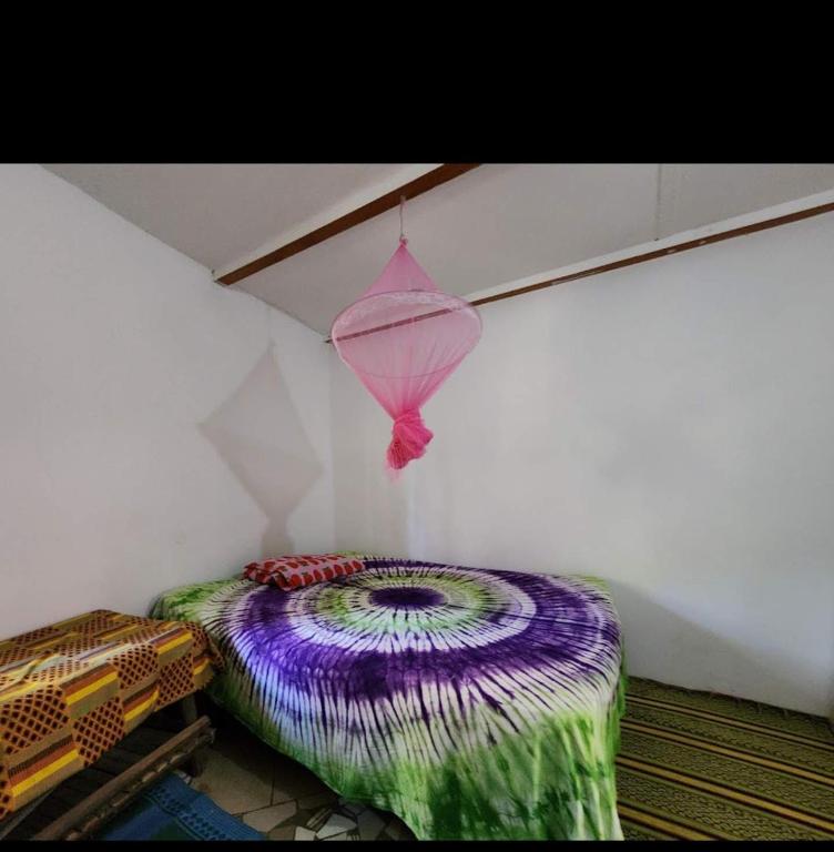 Chez MOMO, Diana (precios actualizados 2024)