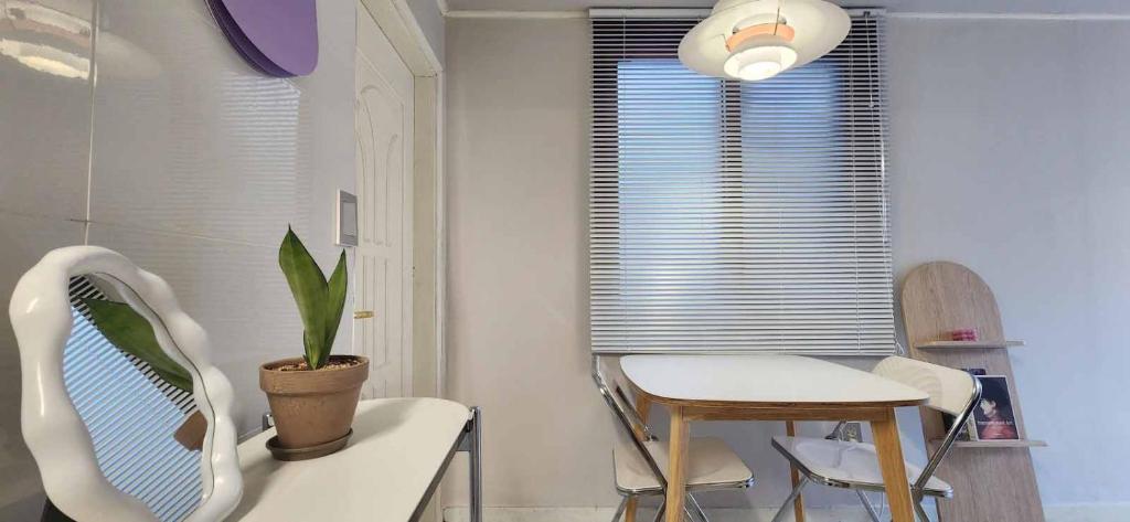 k-9 Hongdae Yeontral park, Seoul (updated prices 2025)