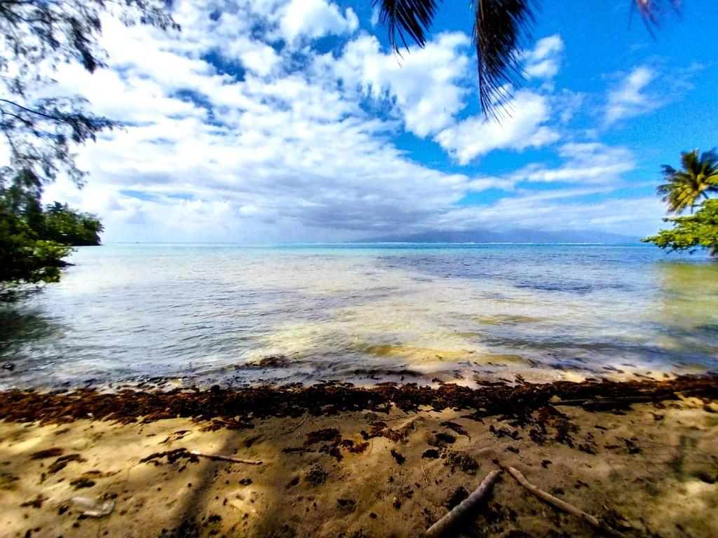 MOOREA - Utuafare OaOa Room Piti, Afareaitu (updated prices 2025)