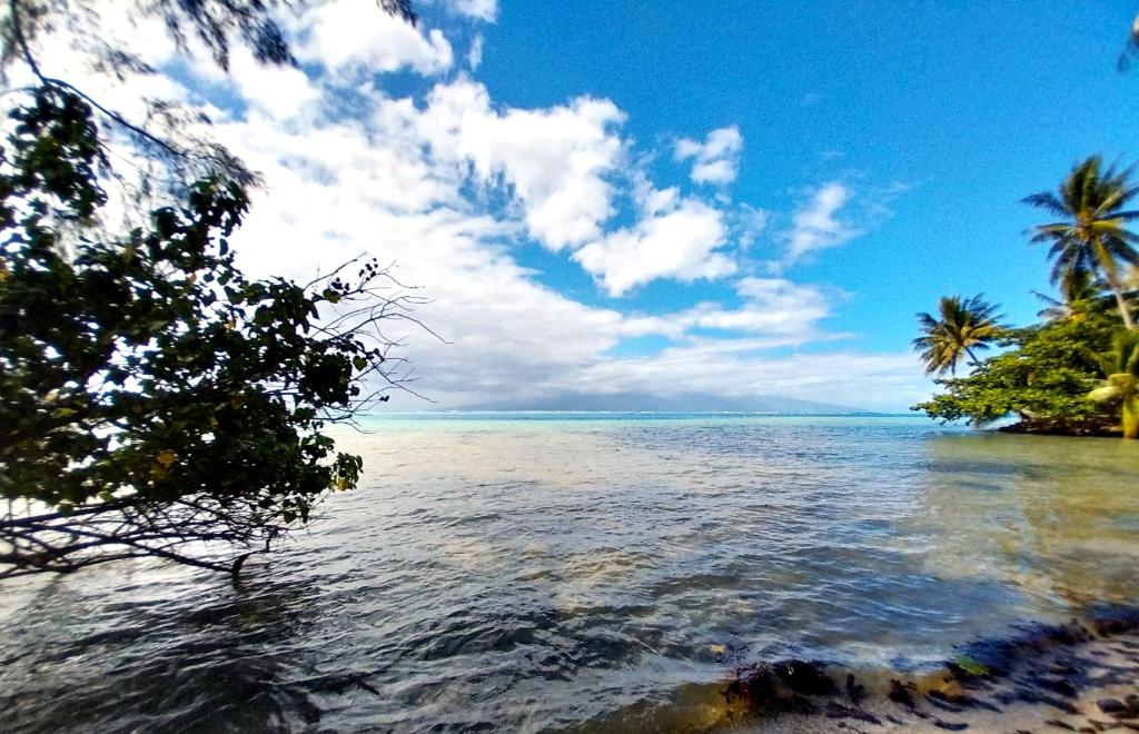 MOOREA - Utuafare OaOa Room Toru, Afareaitu (updated prices 2025)