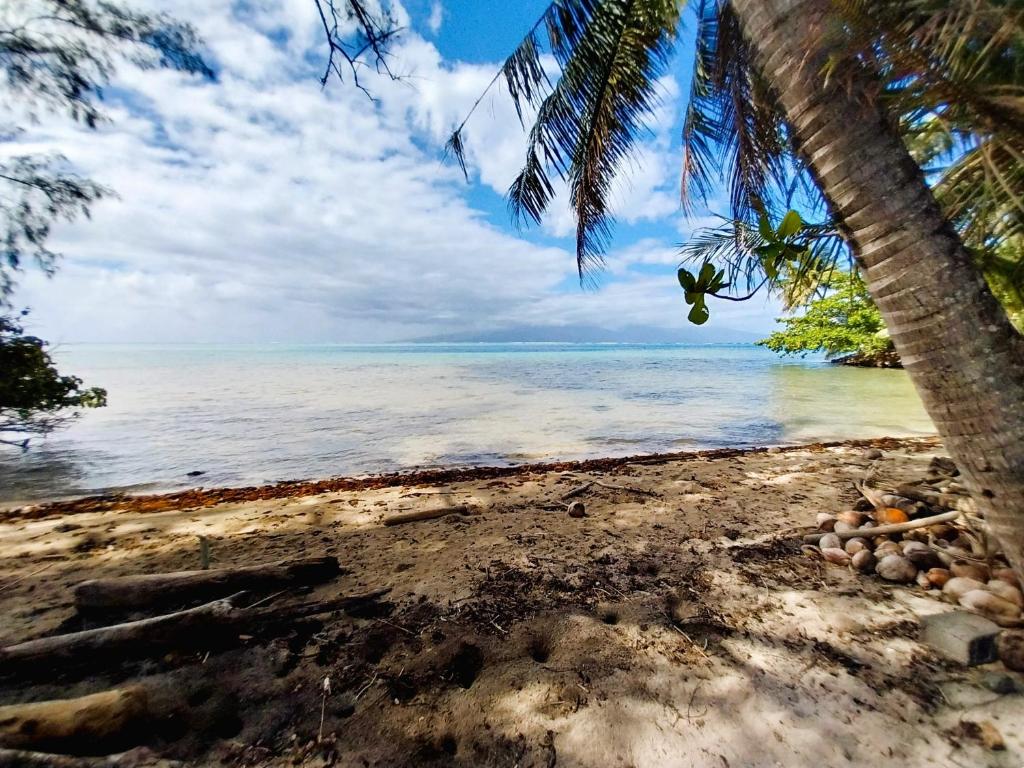 MOOREA - Utuafare OaOa Room Family, Afareaitu (updated prices 2026)