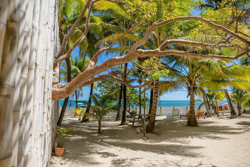 Babylon Beach Villa 2, San Pedro (aktualisierte Preise für 2025)