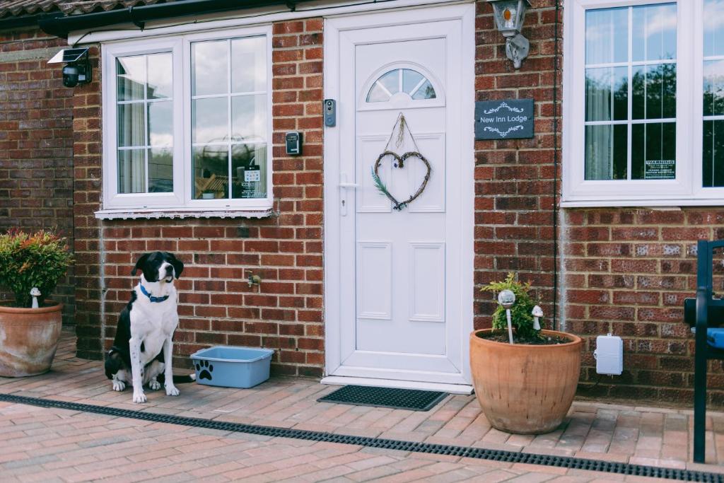 New Inn Lodge In Scarning Near Dereham Norfolk England, East Dereham ...