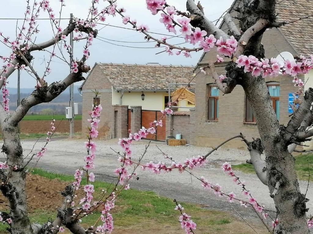 Biser Stara Bingula-Seosko domaćinstvo, Stara Bingula (preços ...