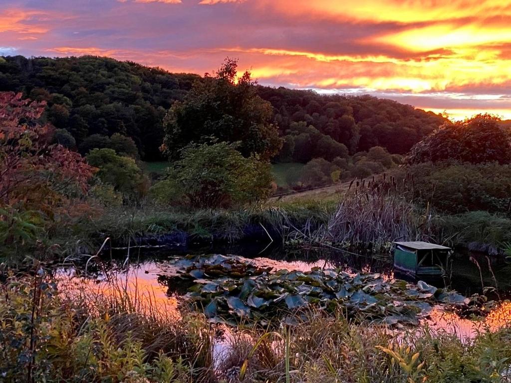 Bauernhof für Naturliebhaber, Bucha (aktualisierte Preise für 2026)
