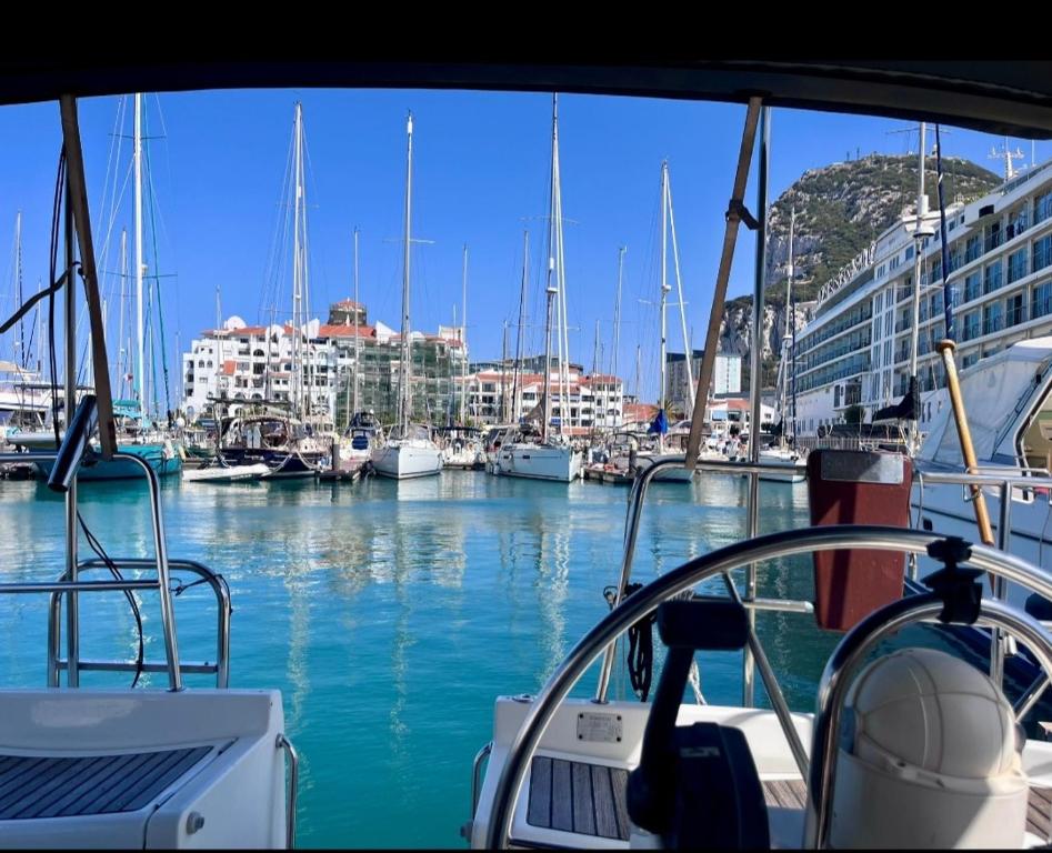 LUXURY YACHT STAY "White Dove" sleeps 6, Gibraltar (updated prices 2025)