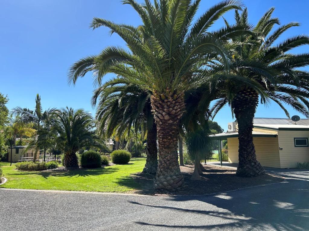 Murray River Resort, Moama (updated prices 2025)