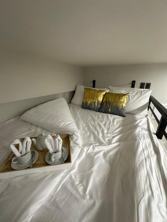 Studio unit loft bed st dominique, Iloilo City (updated prices 2026)