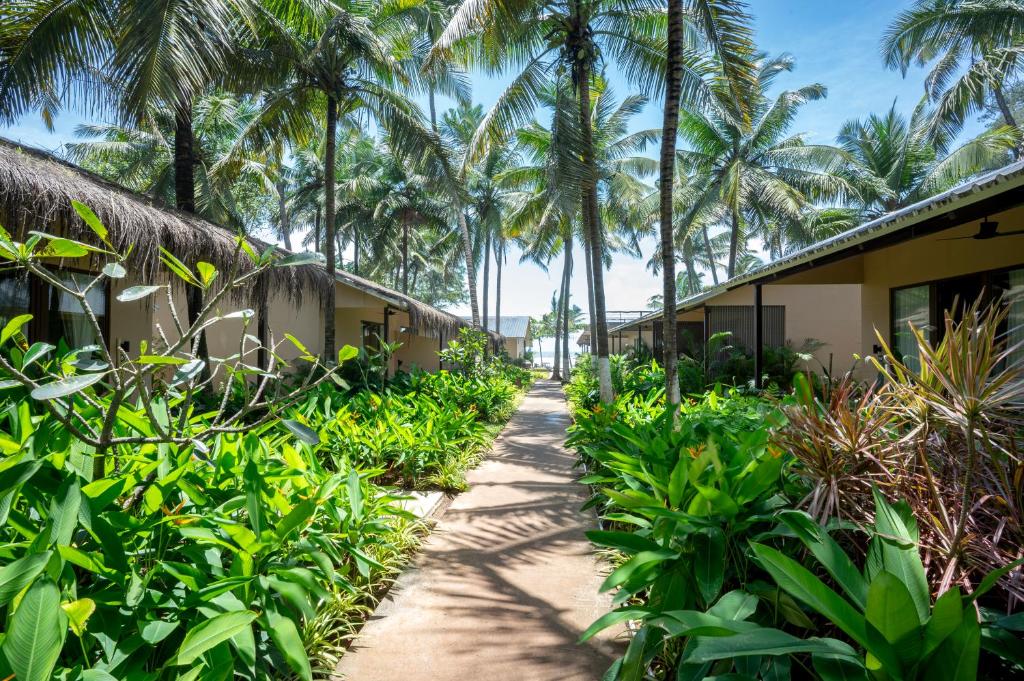 Palma Beach Resort, Mandrem (updated prices 2026)