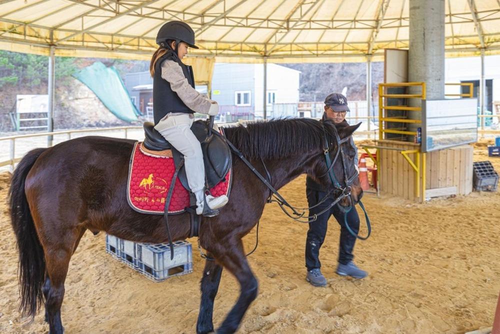 Taean Anmyeondo Badabi Pension, Kwik-kol (tarifs actualisés, 2025)