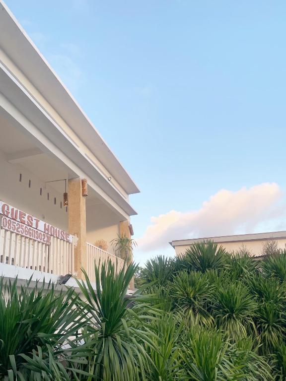 Cici Guest House, Bira (updated prices 2025)