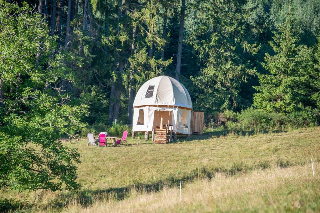 Dôme en pleine nature, Lusse (updated prices 2026)