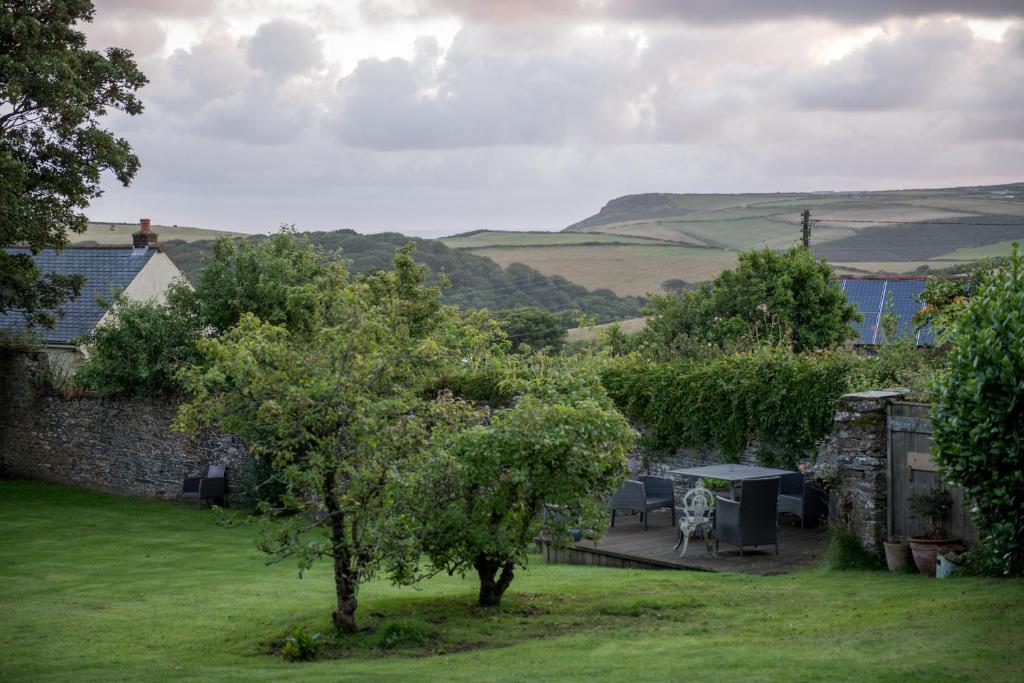 Zen Den Cornwall, Boscastle (aktualisierte Preise für 2024)