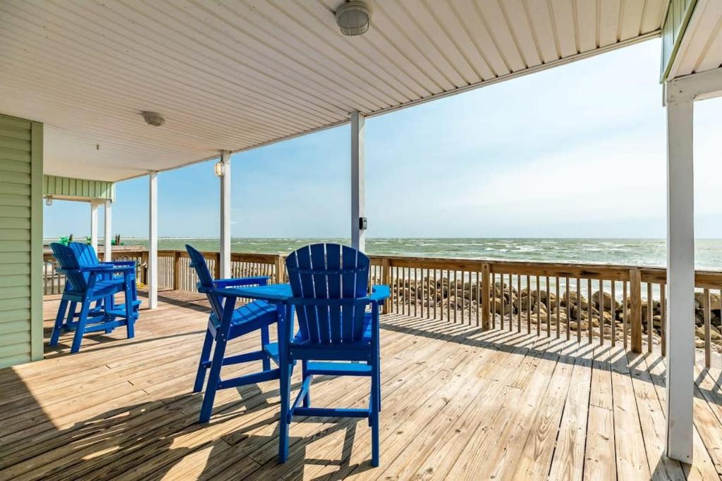 Seaside Front & Center Dolphin Watching, Freeport (updated prices 2024)