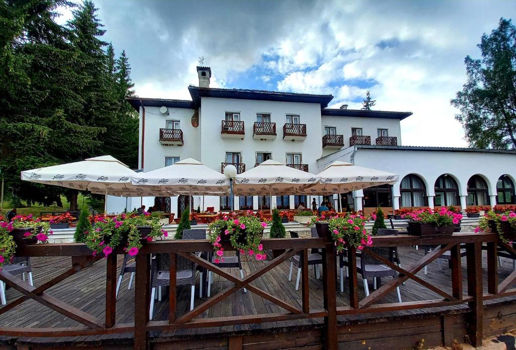 Hotel Vlasina - Vlasinsko jezero, Lujinci (updated prices 2026)