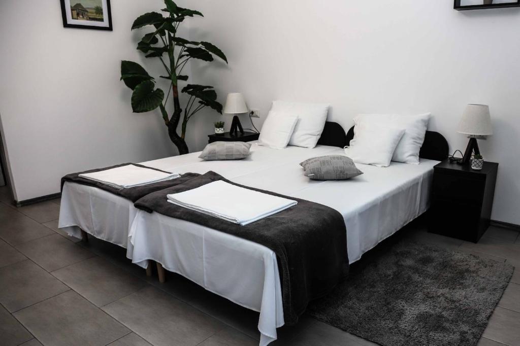 Micul Cosmopolit, Afumaţi (aktualisierte Preise für 2025)