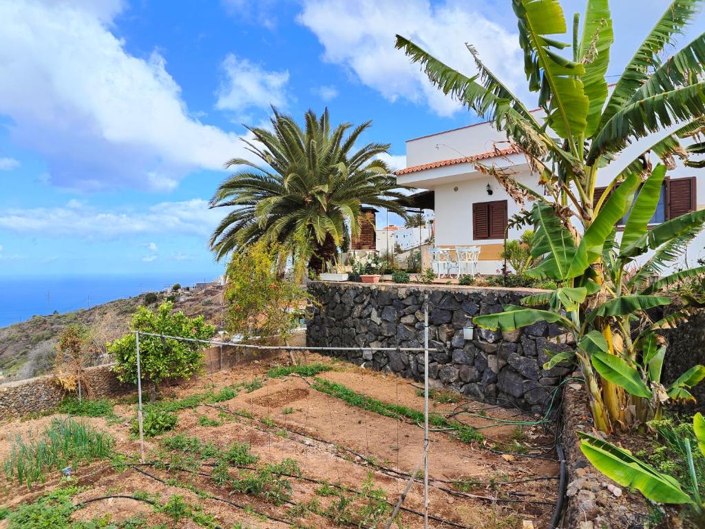 The Lemon Factory, Chío (updated prices 2025)