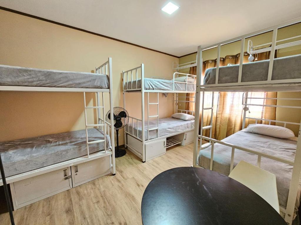 Hostel La Cali Inn, San José (aktualisierte Preise für 2025)
