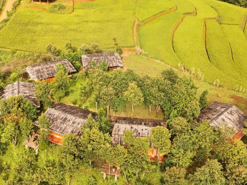 See bungalow mu cang chai, Mù Cang Chải (precios actualizados 2026)