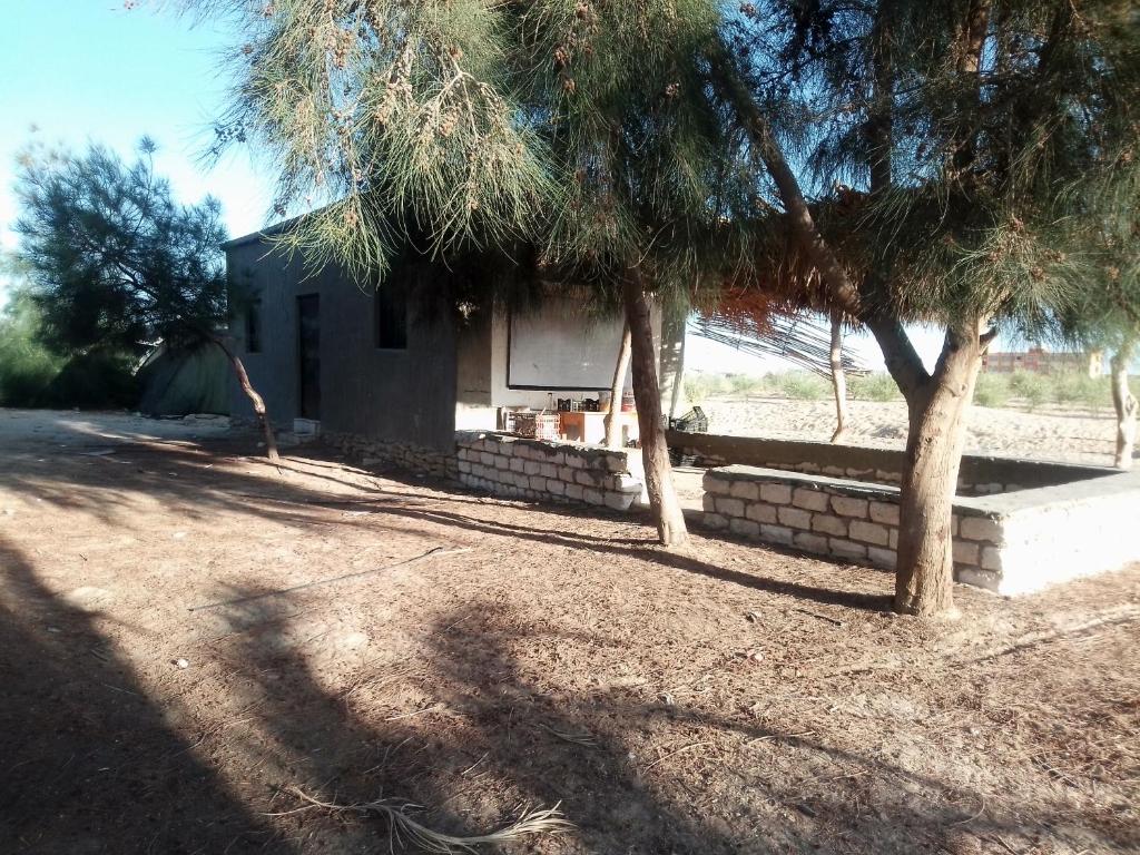 Sagda، سيوة (أسعار محدثة لعام 2024)