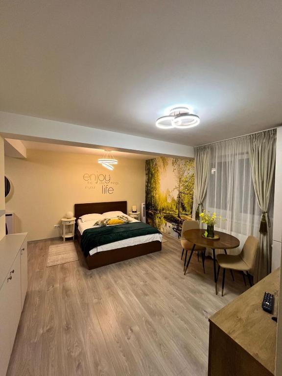 Confort Studio, Alba Iulia (updated prices 2026)