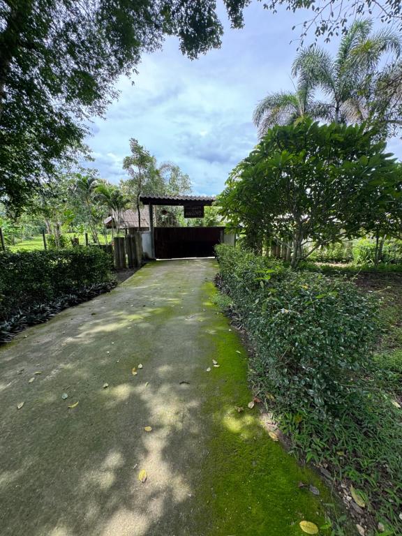 บ้านสวนแม่แพร-Baan Suan Mae Pair, Mae Taeng (updated prices 2026)