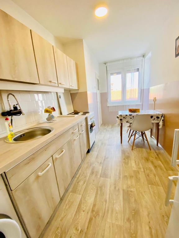 dr Genius, Niš (updated prices 2025)