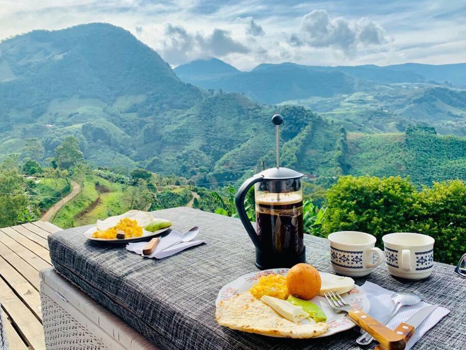 Incredible Colombian Coffee farm Finca Milena #2, Jardin (updated ...