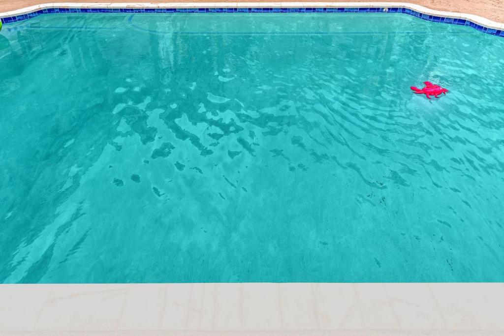 Tropical Oasis with pool 10 mins airport & 5 mins Beach, Hollywood ...