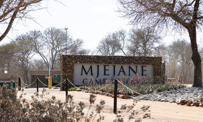 Mjejane Bush Camp, Hectorspruit (updated prices 2025)