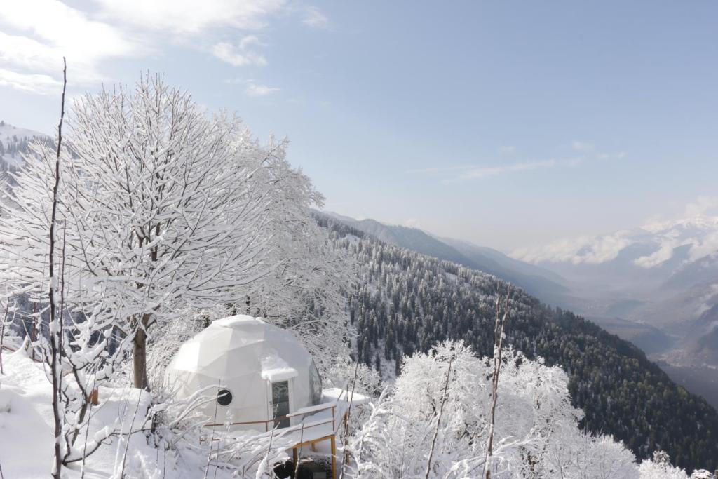 GlampEco Manali, Manāli (updated prices 2026)