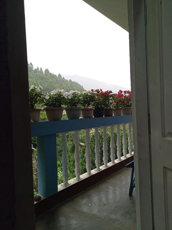 Pema HOMESTAY, Dirāng (updated prices 2026)