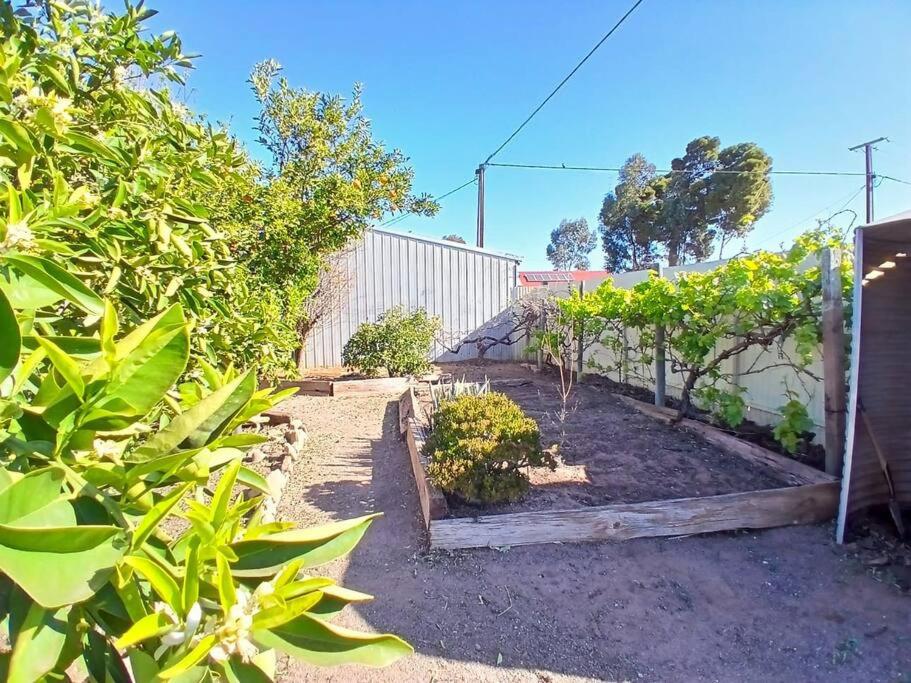 Cozy home with hot tub & fruit garden, Whyalla (precios actualizados 2025)