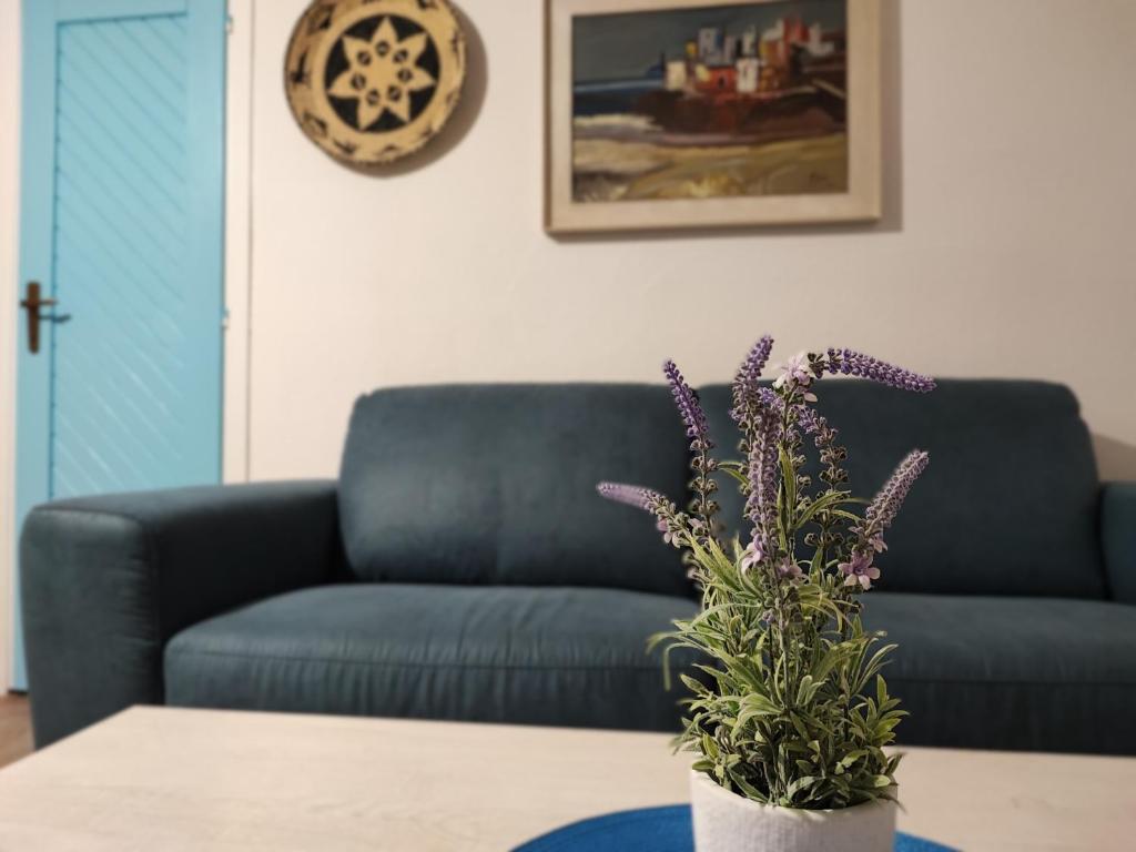 Domu Abba&Chelu, Santa Luria (precios actualizados 2025)