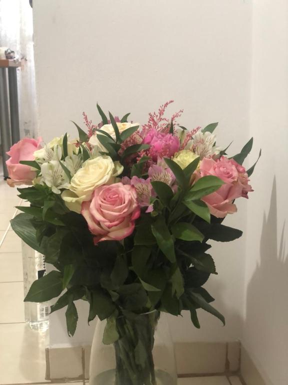 Rin Garden, Bucharest (updated prices 2025)