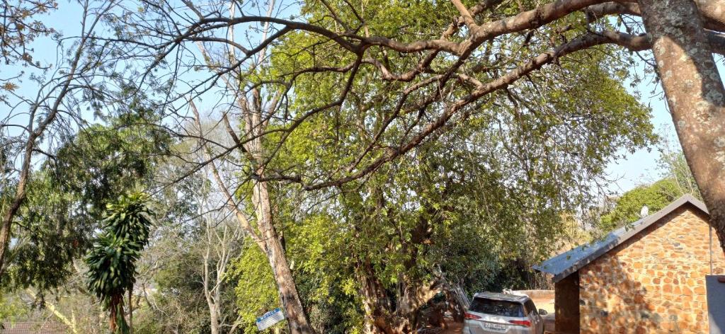 Risima Guest Lodge Hazyview, Numbi (updated prices 2025)