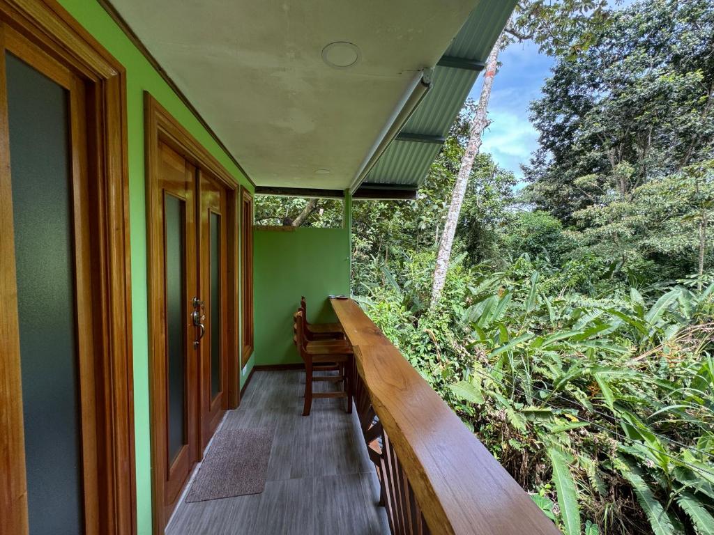 Chilamate Room, Tortuguero (updated prices 2024)