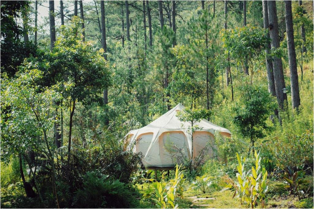 Hodota Ankroet Resort & Camping, Ấp Kroët (precios actualizados al 2026)