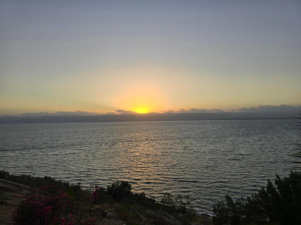 Deadsea Samarah Resort, Sowayma (updated prices 2025)