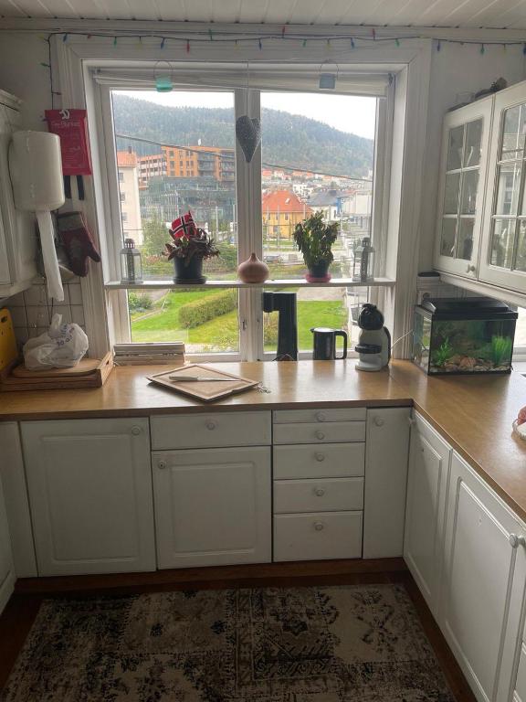 Bergen peaceful loft, Bergen (updated prices 2024)
