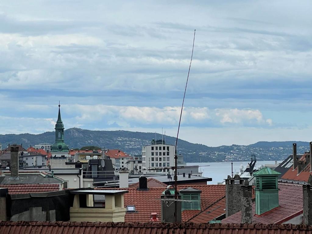 Flat in Bergen house with outstanding roof terrace, Bergen (updated ...