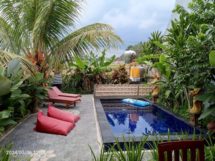 2 Villas - 2 Pools - Sleeps 9, Ubud (updated prices 2026)