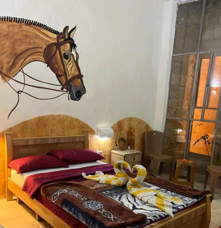 Dana star, Dana (updated prices 2025)