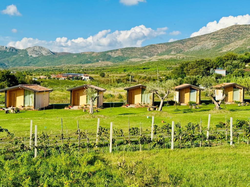 Fishta Guesthouse - Mrizi i Zanave, Fishtë (updated prices 2025)