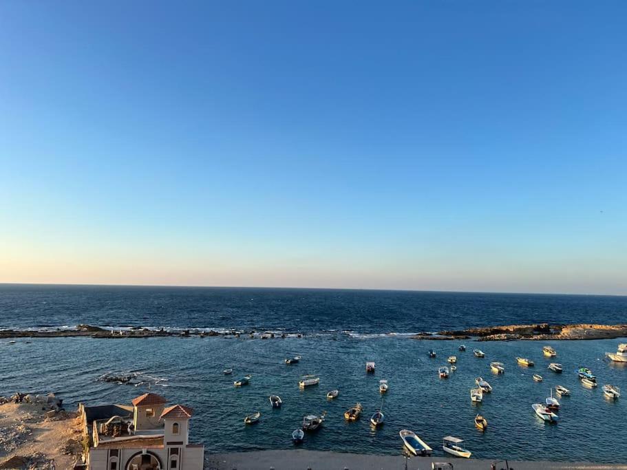 Wonderful 3 Bedrooms Apartment For Rent In Miami Alexandria Direct On ...